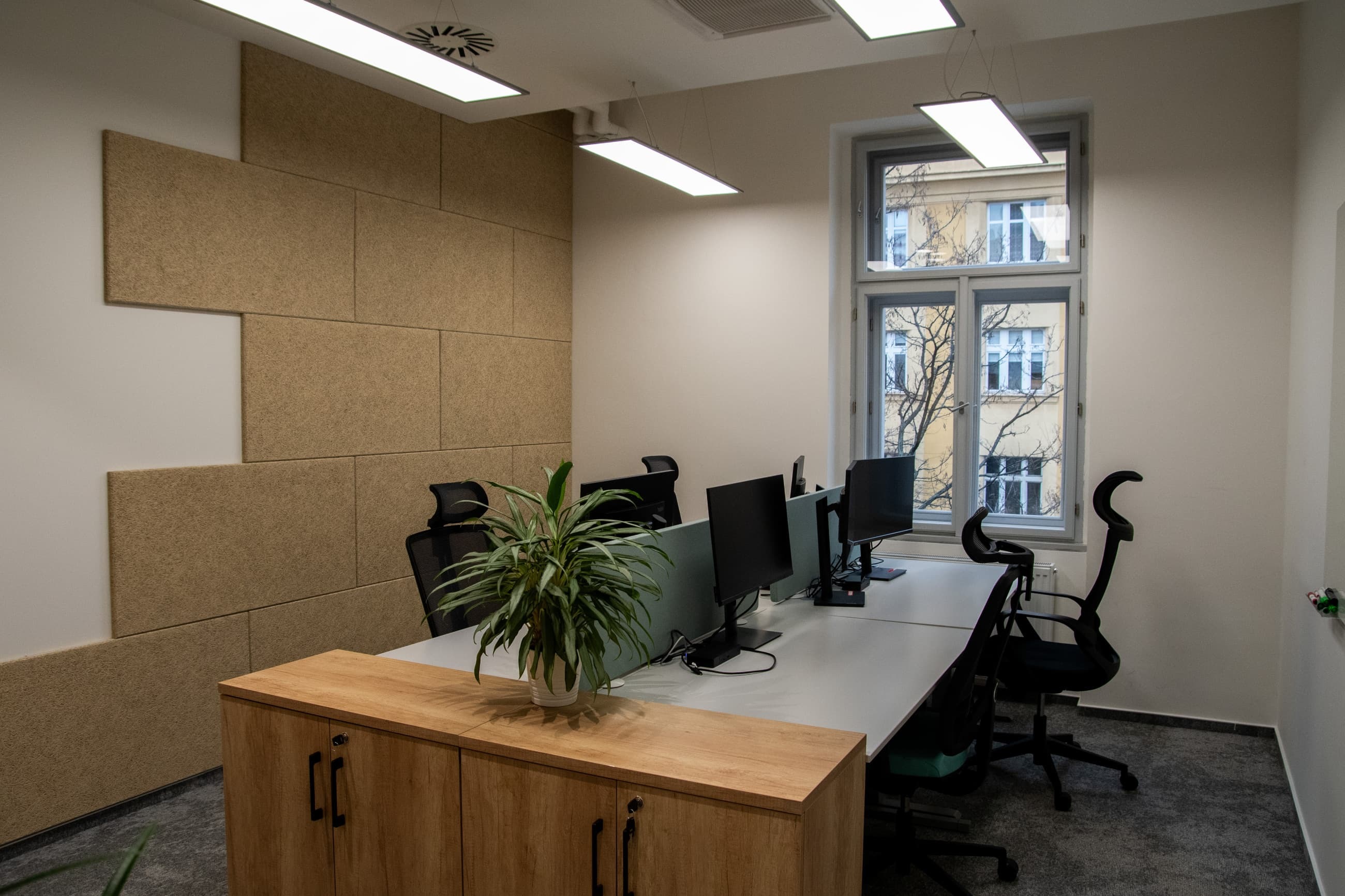 Renovation of JRD offices: ecology and nature in the main role | CAPEXUS.cz